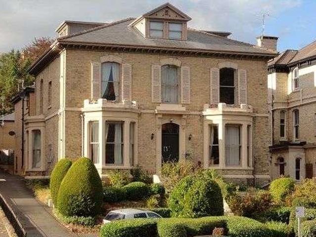 1 bed flat to rent