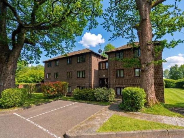 1 bed flat to rent