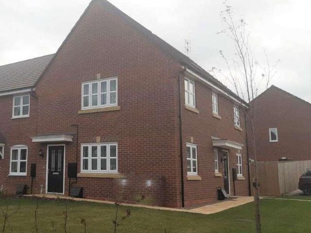 1 bed flat to rent