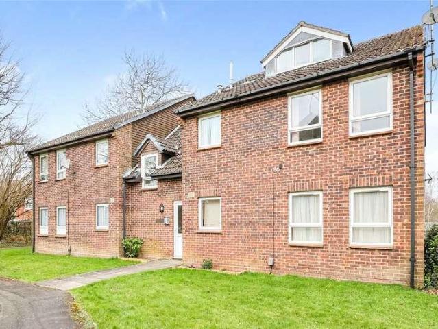 1 bed flat to rent