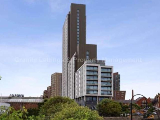 1 bed flat to rent
