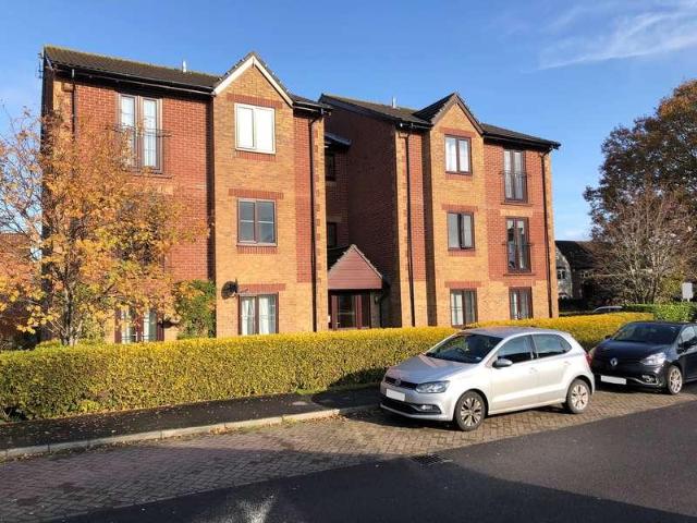 1 bed flat to rent