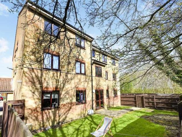 1 bed flat to rent