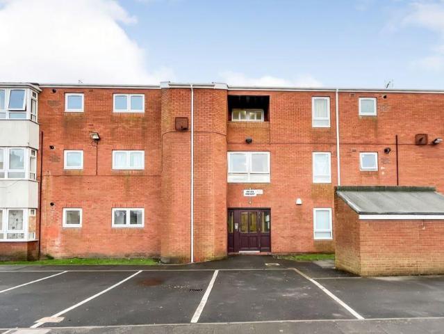 1 bed flat to rent