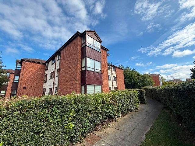 1 bed flat to rent