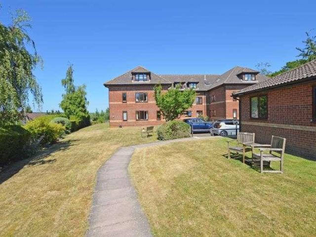 1 bed flat to rent