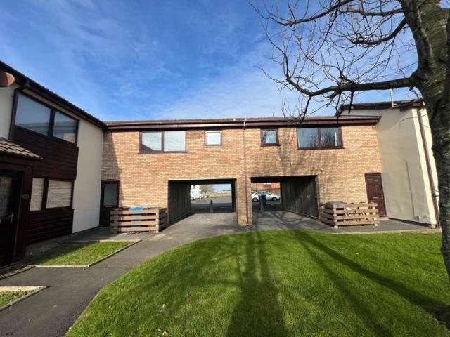 1 bed flat to rent