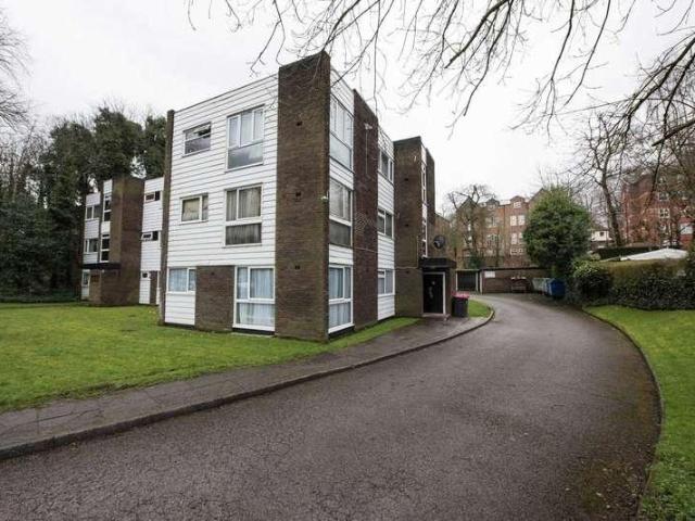 1 bed flat to rent