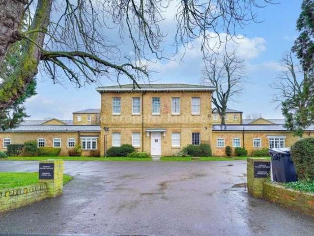 1 bed flat to rent