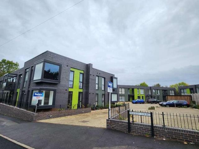 1 bed flat to rent