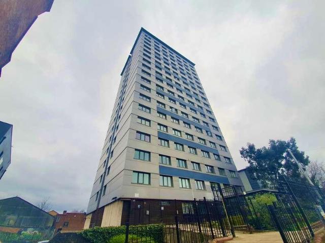 1 bed flat to rent
