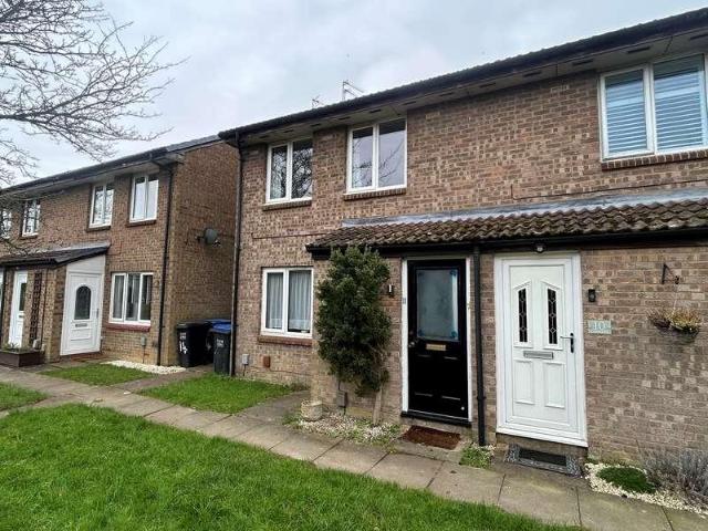 1 bed flat to rent