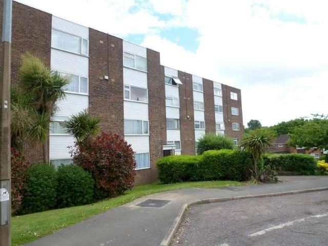 1 bed flat to rent