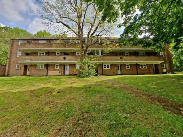 1 bed flat to rent