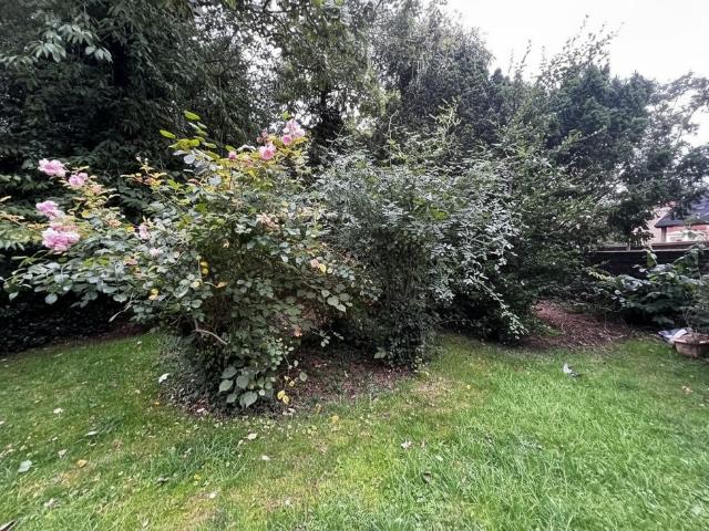 1 Bed Flat, Woodchurch Road, NW6