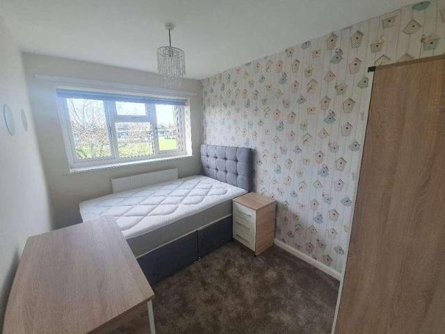 1 bed house to rent