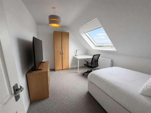 1 bed house to rent
