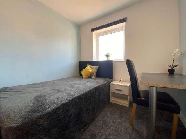 1 bed house to rent