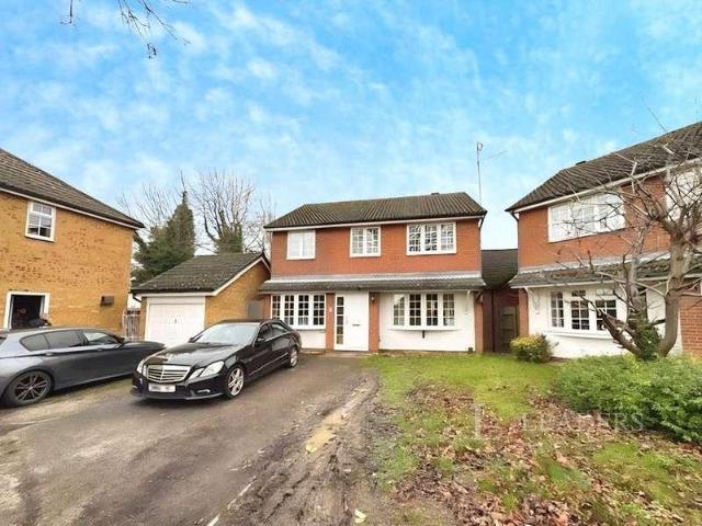 1 bed house to rent