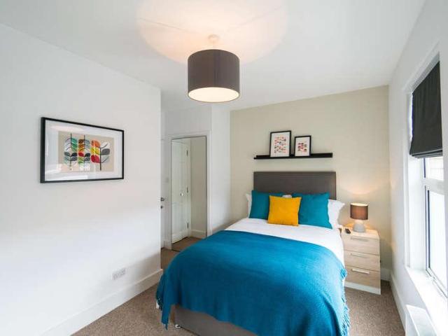 1 bed house to rent