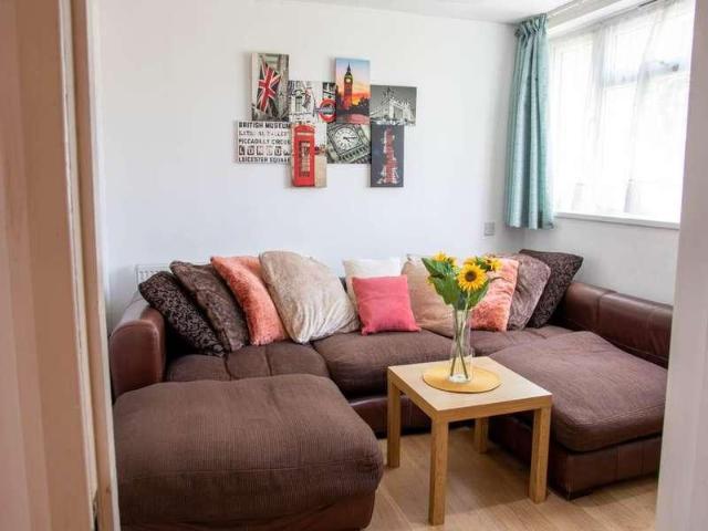 1 bed house to rent