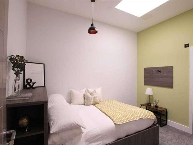 1 bed house to rent