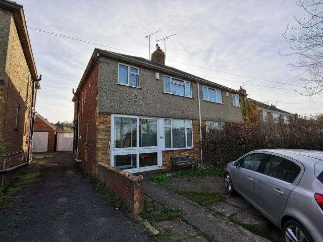 1 bed house to rent