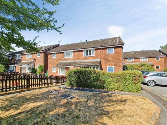 1 bed house to rent