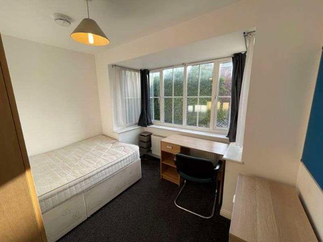 1 bed house to rent