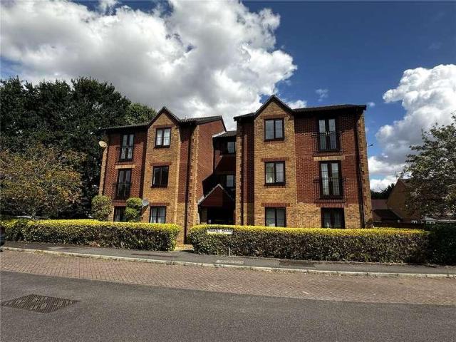 1 bed house to rent