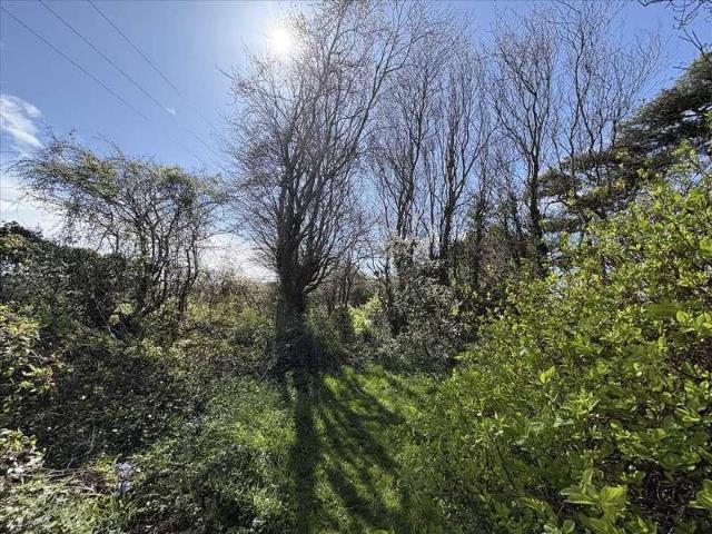 1 bed house for sale
