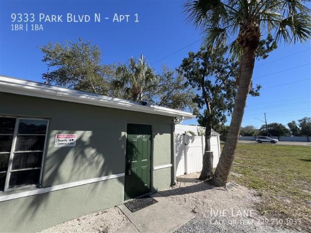 1 Bed in Seminole With Bonus Room, Fenced Patio, and Shed!