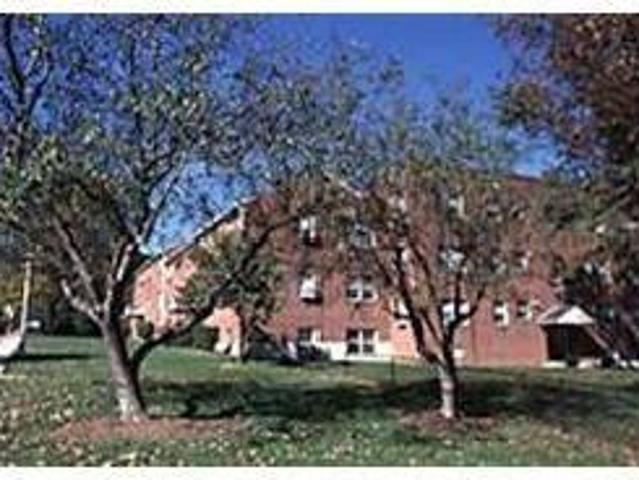 1 Bed Maplewood Apts