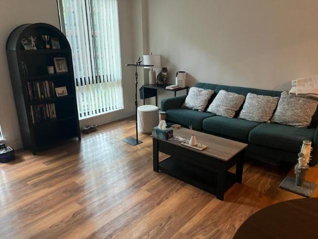1 Bed North End Apartment with 2 cats short term