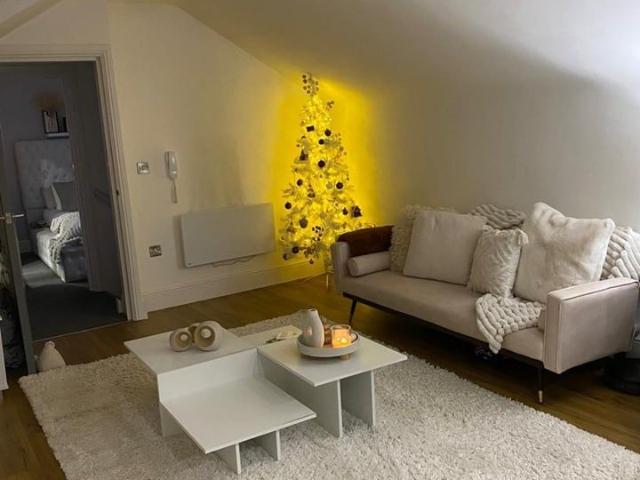 1 Bed Penthouse, Sherwood Rise, NG7
