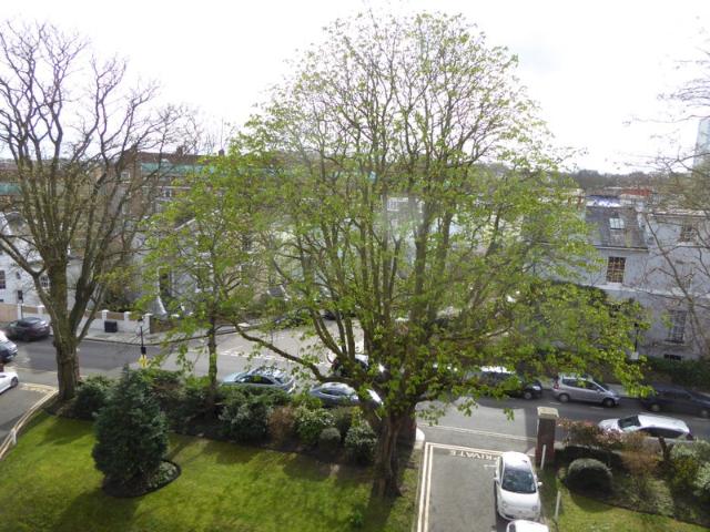 1 Bed, Primrose Hill NW3