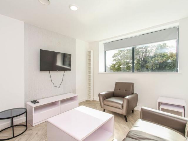 1 bed Shared Flat for Rent