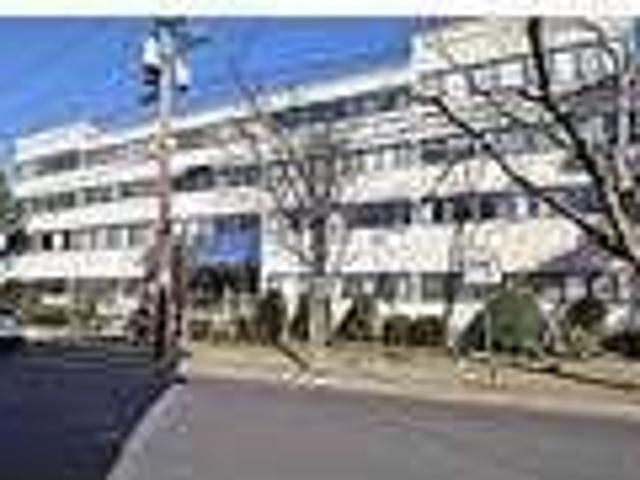 1 Bedroom 1 Bath In Mineola NY 11501