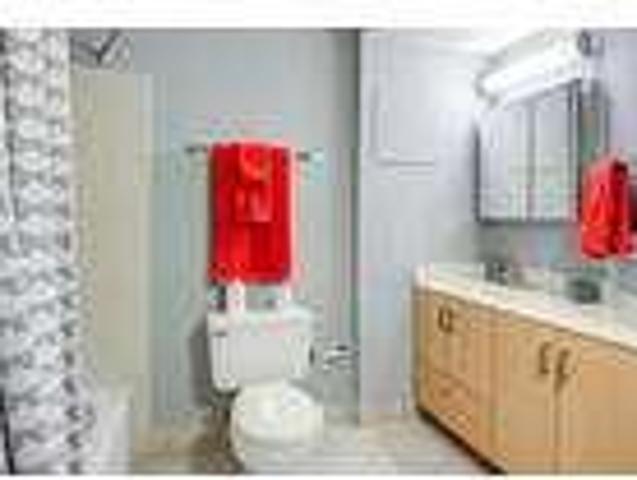 1 Bedroom 1 Bath In Chicago IL 60654