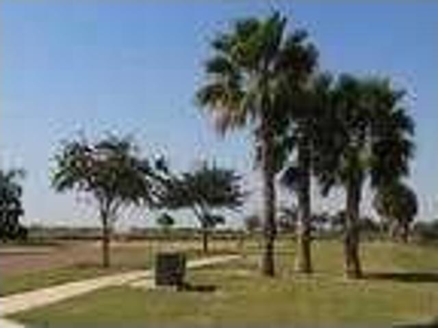 1 Bedroom 1 Bath In Edinburg TX 78539