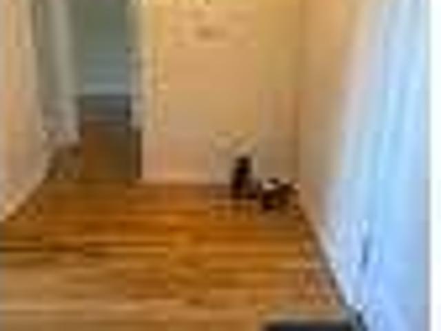 1 Bedroom 1 Bath In Great Neck New York 11021