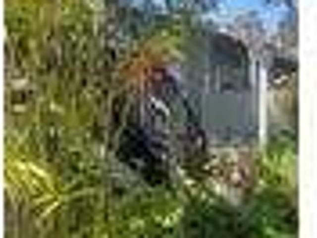 1 Bedroom 1 Bath In Long Beach CA 90815