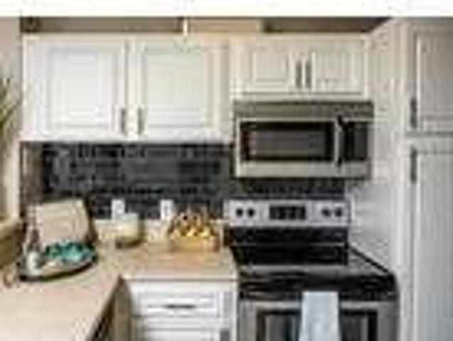 1 Bedroom 1 Bath In St. Petersburg FL 33716
