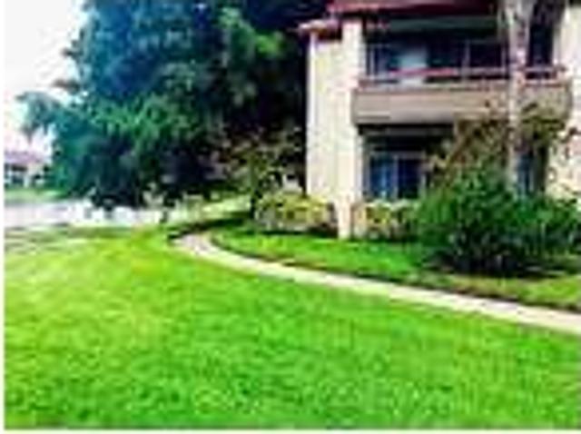 1 Bedroom 1 Bath In Saint Petersburg Florida 33702