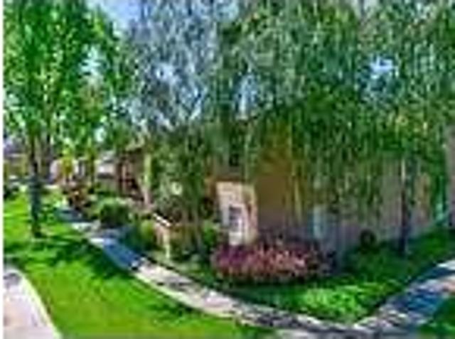 1 Bedroom 1 Bath In San Ramon CA 94583
