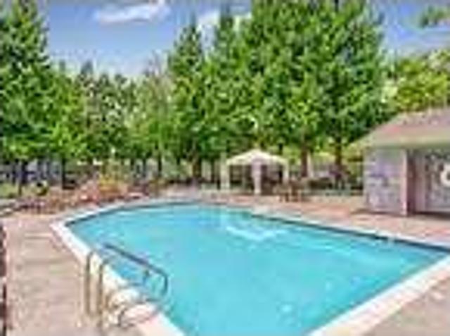 1 Bedroom 1 Bath In San Ramon CA 94583