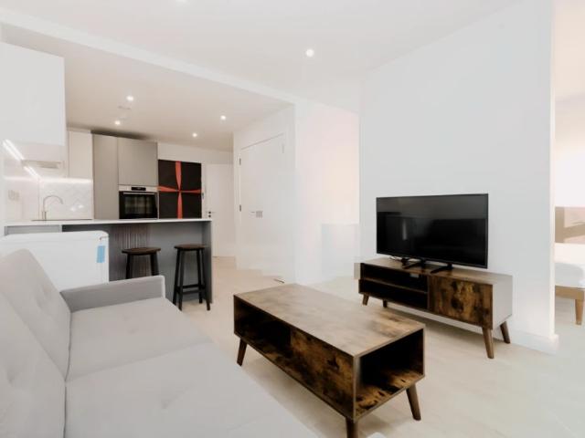 1 Bedroom 1 Bathroom