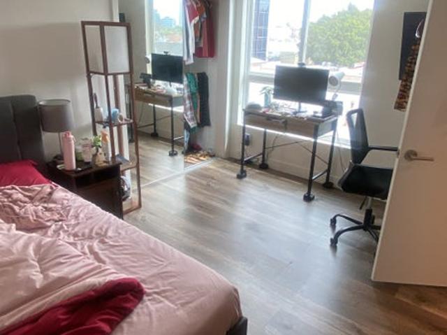 1 bedroom 1 bathroom co living shared space