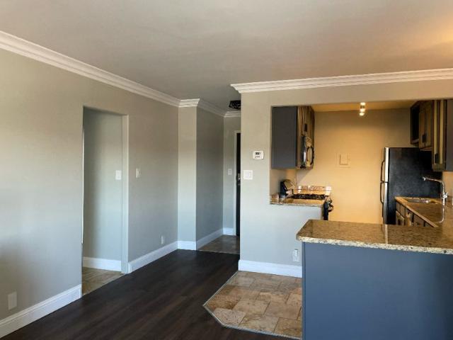 1 Bedroom 1 Bathroom Downtown Condo