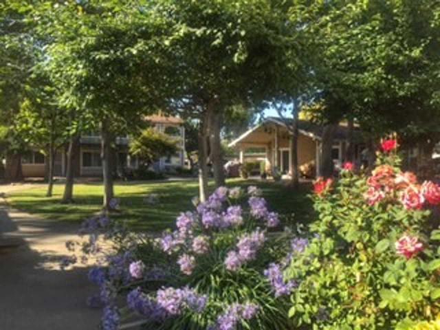 1 Bedroom 1 Bathroom in Morgan Hill 1 Bedroom Apartment for Rent at 260 Berry Ct, Morgan Hill, CA 95037